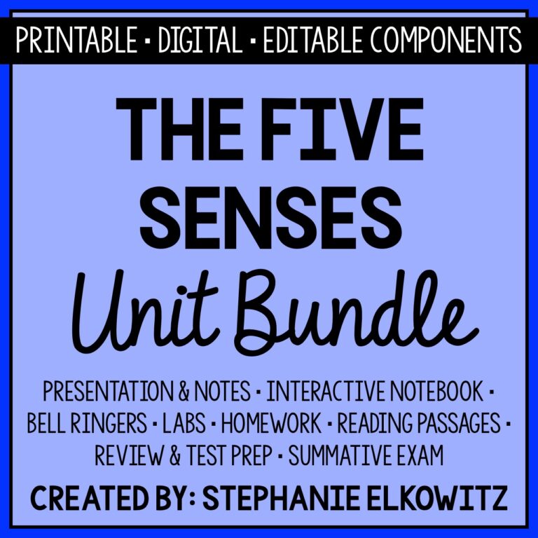 Five Senses & Sensory Processing Unit Bundle | Stephanie Elkowitz