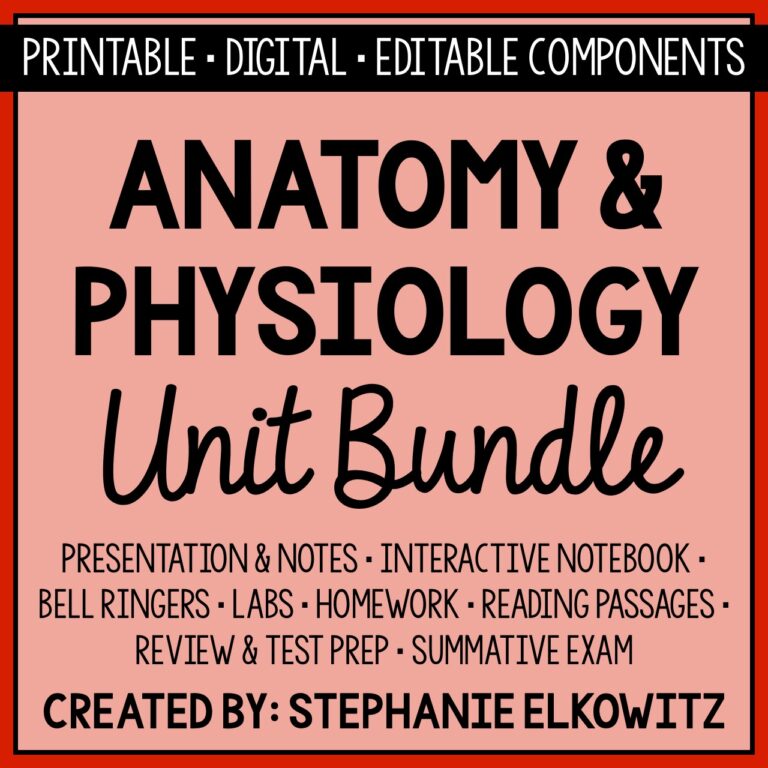 Five Senses & Sensory Processing Unit Bundle | Stephanie Elkowitz
