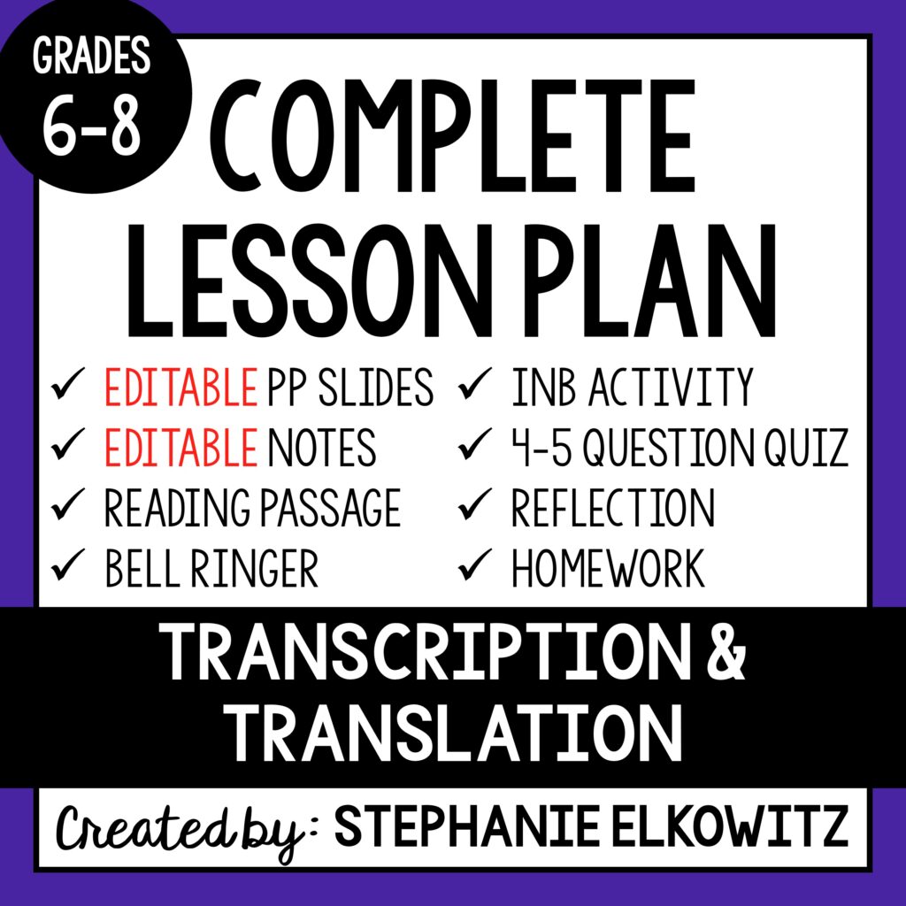 Transcription and Translation Lesson | Stephanie Elkowitz