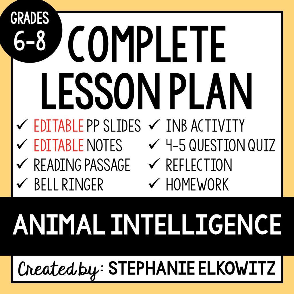 Animal Intelligence Lesson | Stephanie Elkowitz