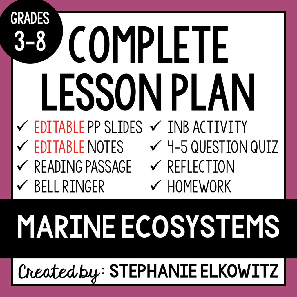 Marine Ecosystems Lesson | Stephanie Elkowitz