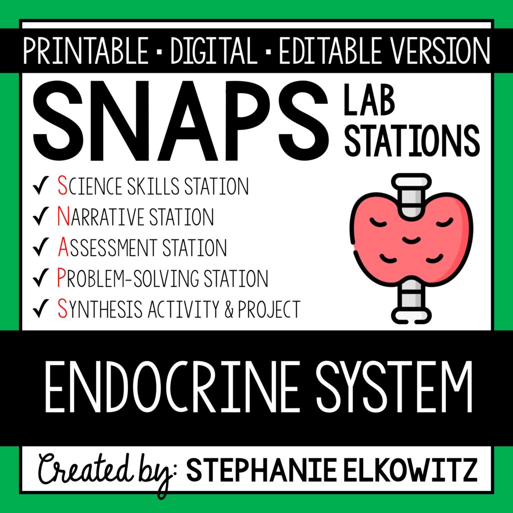 Endocrine System Lab | Stephanie Elkowitz