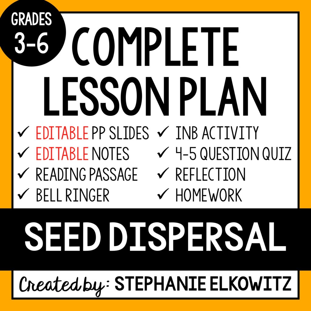 Seed Dispersal Lesson | Stephanie Elkowitz