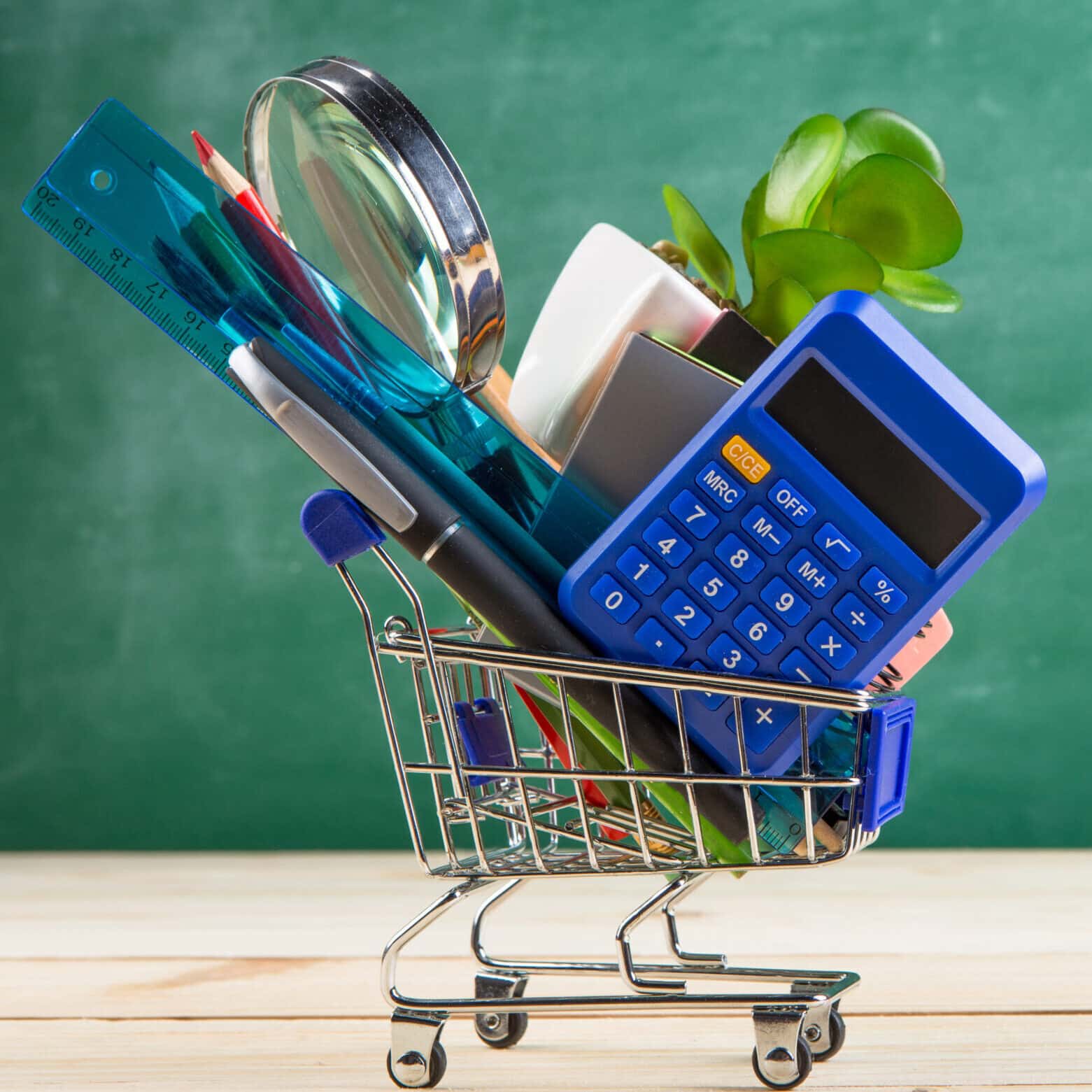 Custom Bundles | Stephanie Elkowitz | Science Curriculum Shop